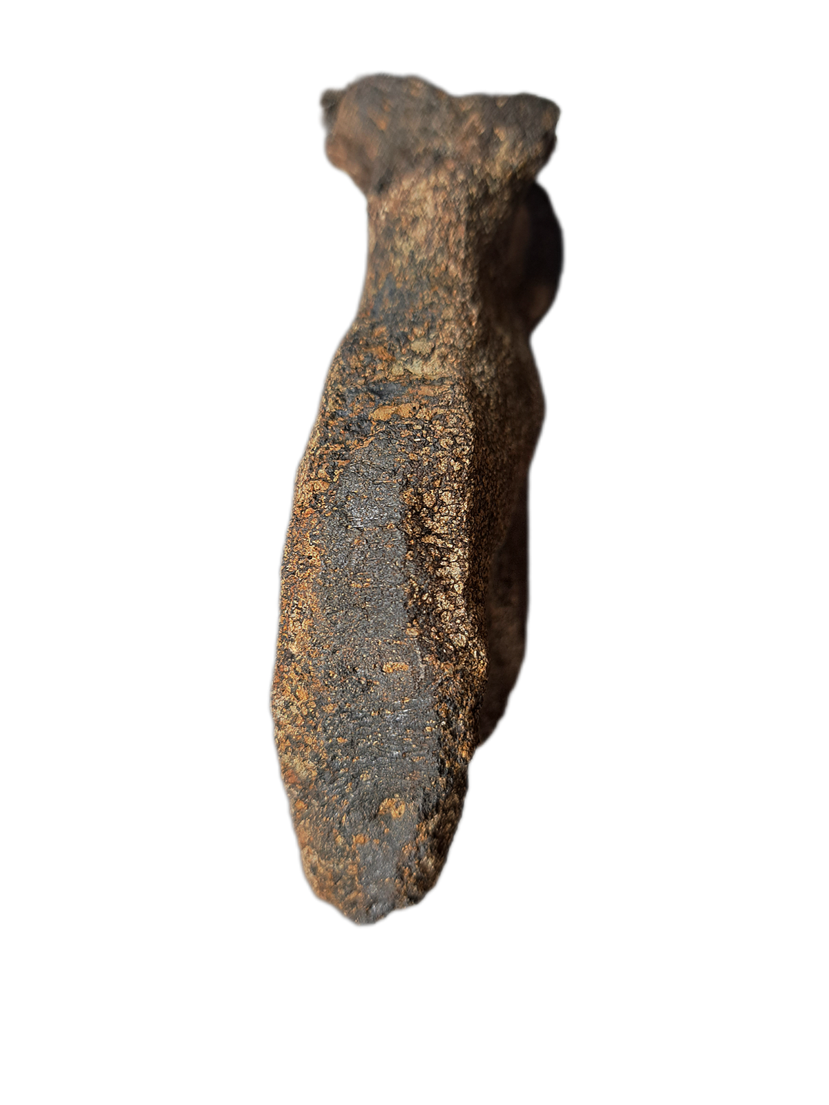 Nodosaur Vertebrae, Two Medicine Formation| The Daily Rex