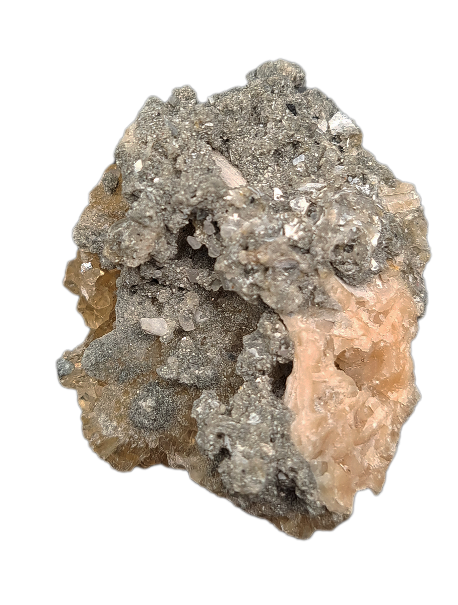 Rucks Pit Clam Filled with Golden-Yellow Calcite Crystals| The Daily Rex