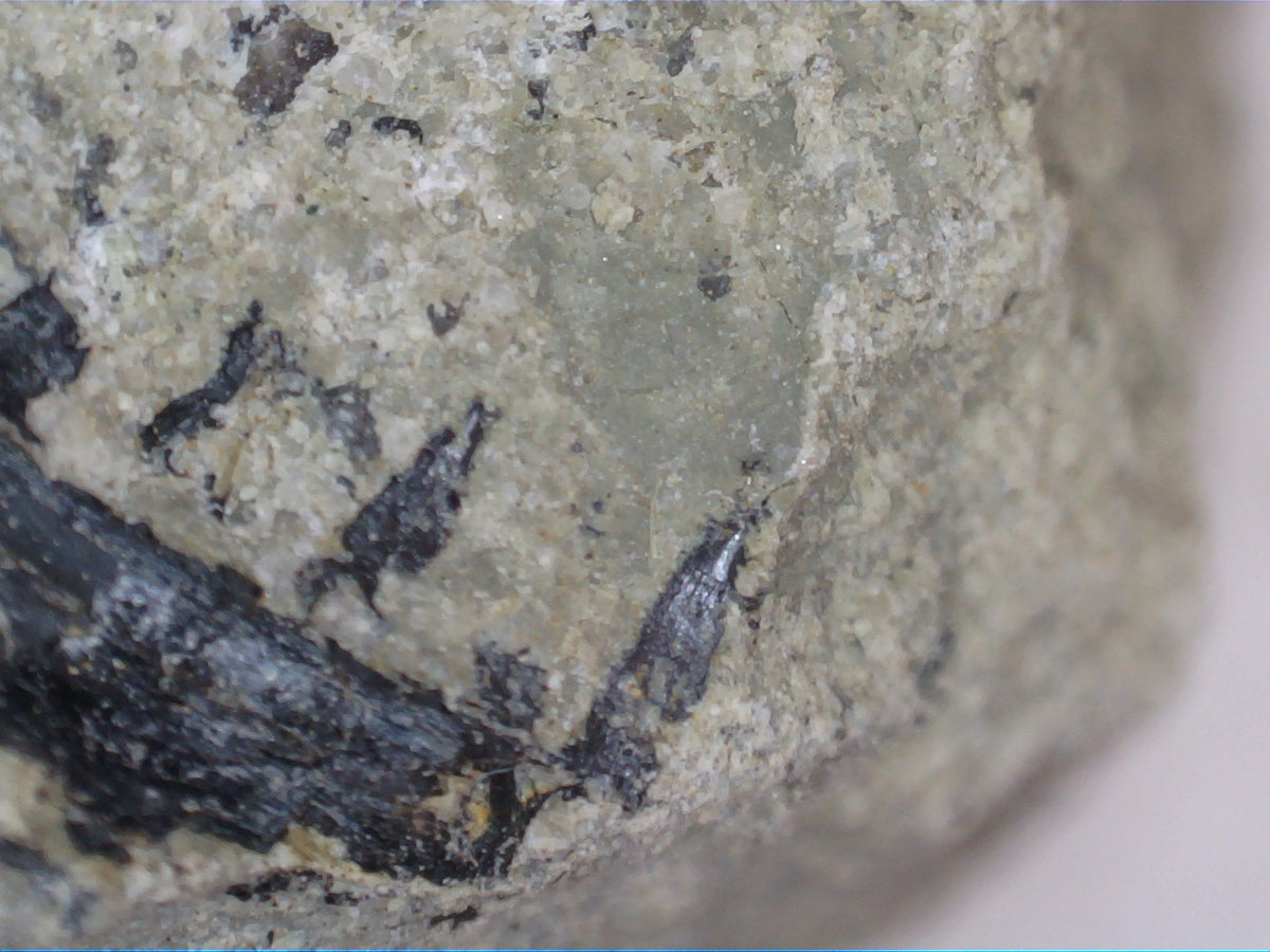 Lizard Jaw Section, Morrison Formation| The Daily Rex