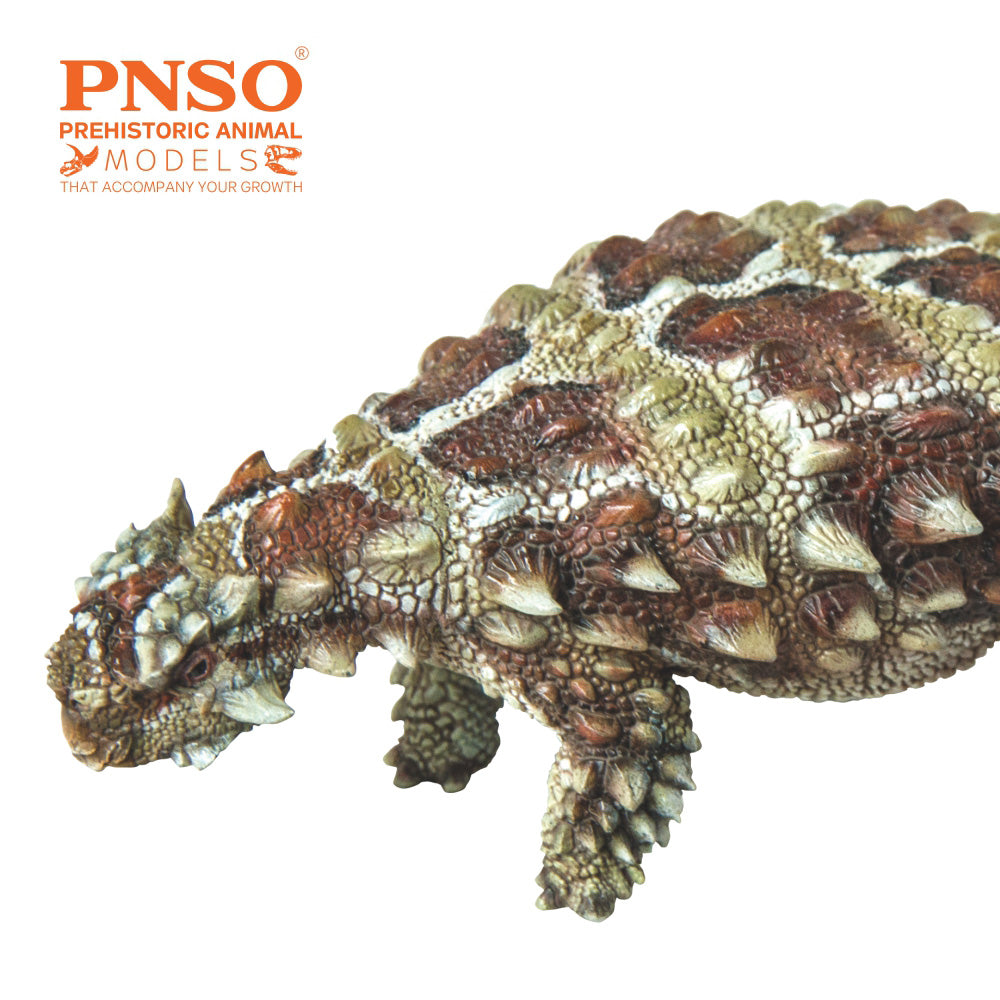 Bart The Pinacosaurus, PNSO| The Daily Rex