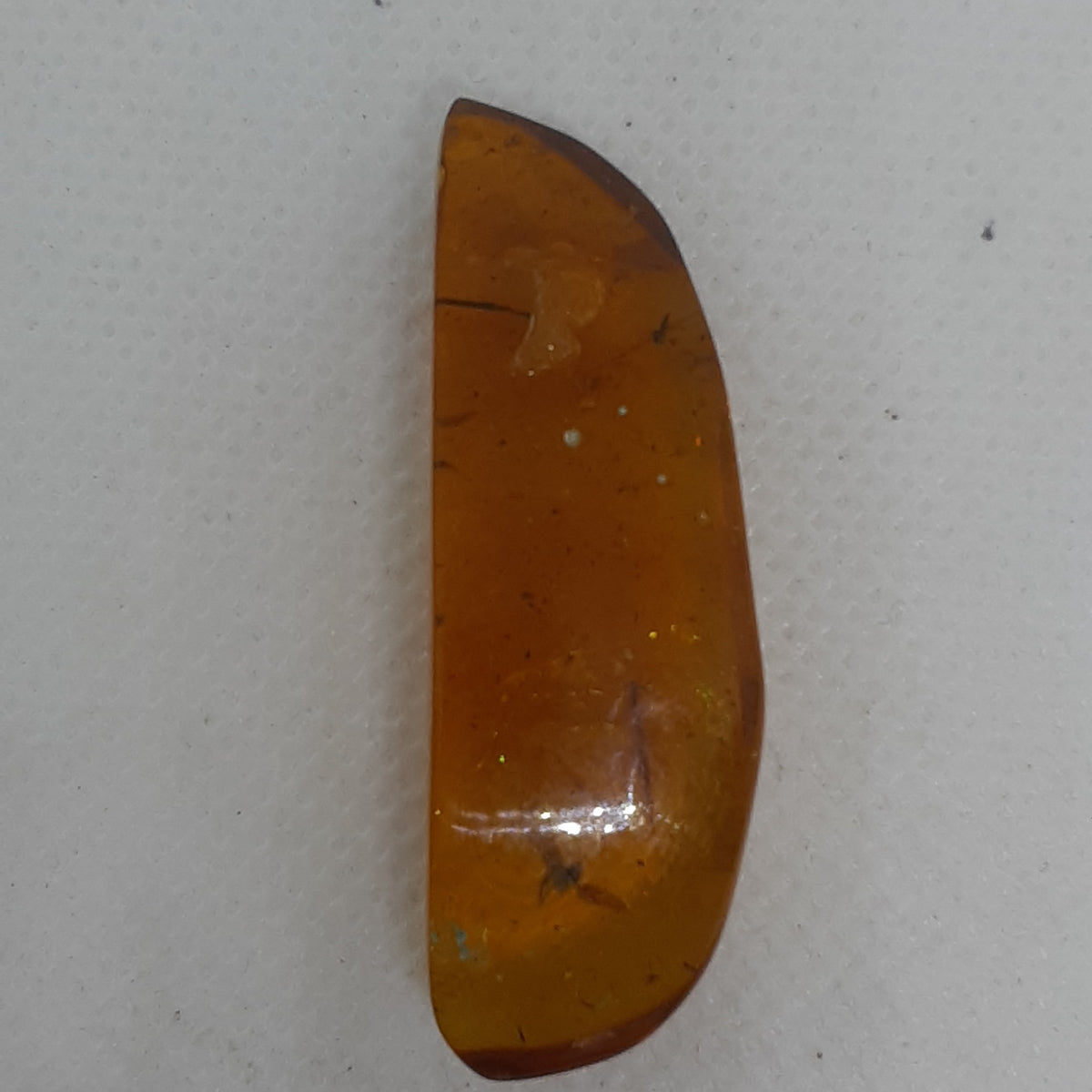Chiapas amber with an insect with beautiful spread wings, 25 million y ...