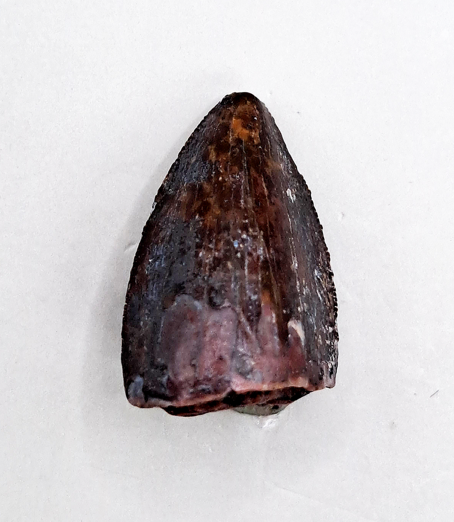 Texas Red Beds| The Daily Rex